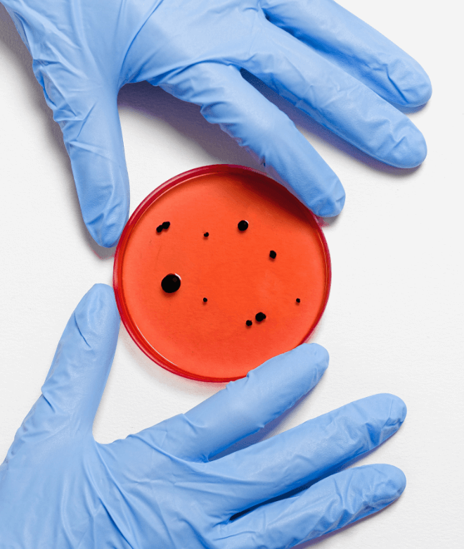 About – Clinical Virology Network